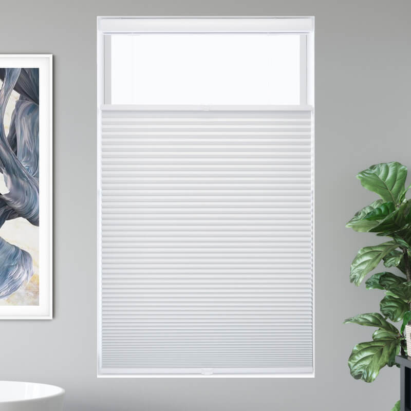 Cordless Blackout Top Down Bottom Up Single Cellular Shade